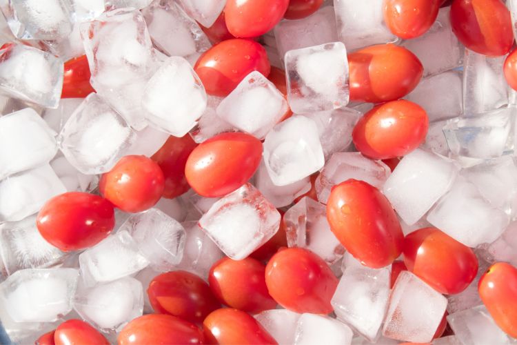 Forma de gelo: confira modelos e diferentes usos!